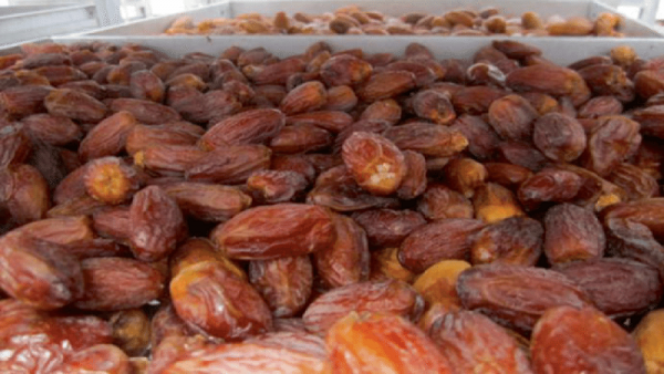 Date Farming and Processing Unit at Dera Ismail Khan