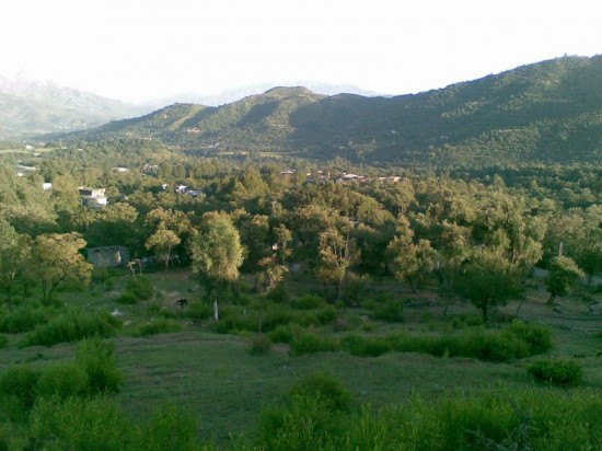 Lower Dir District
