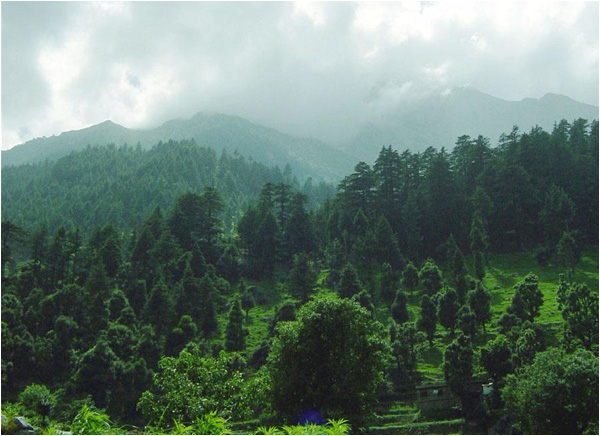 Lower Kohistan District